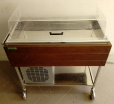 Carrello Portavivande Espositore caldo freddo con motore 220 Volt